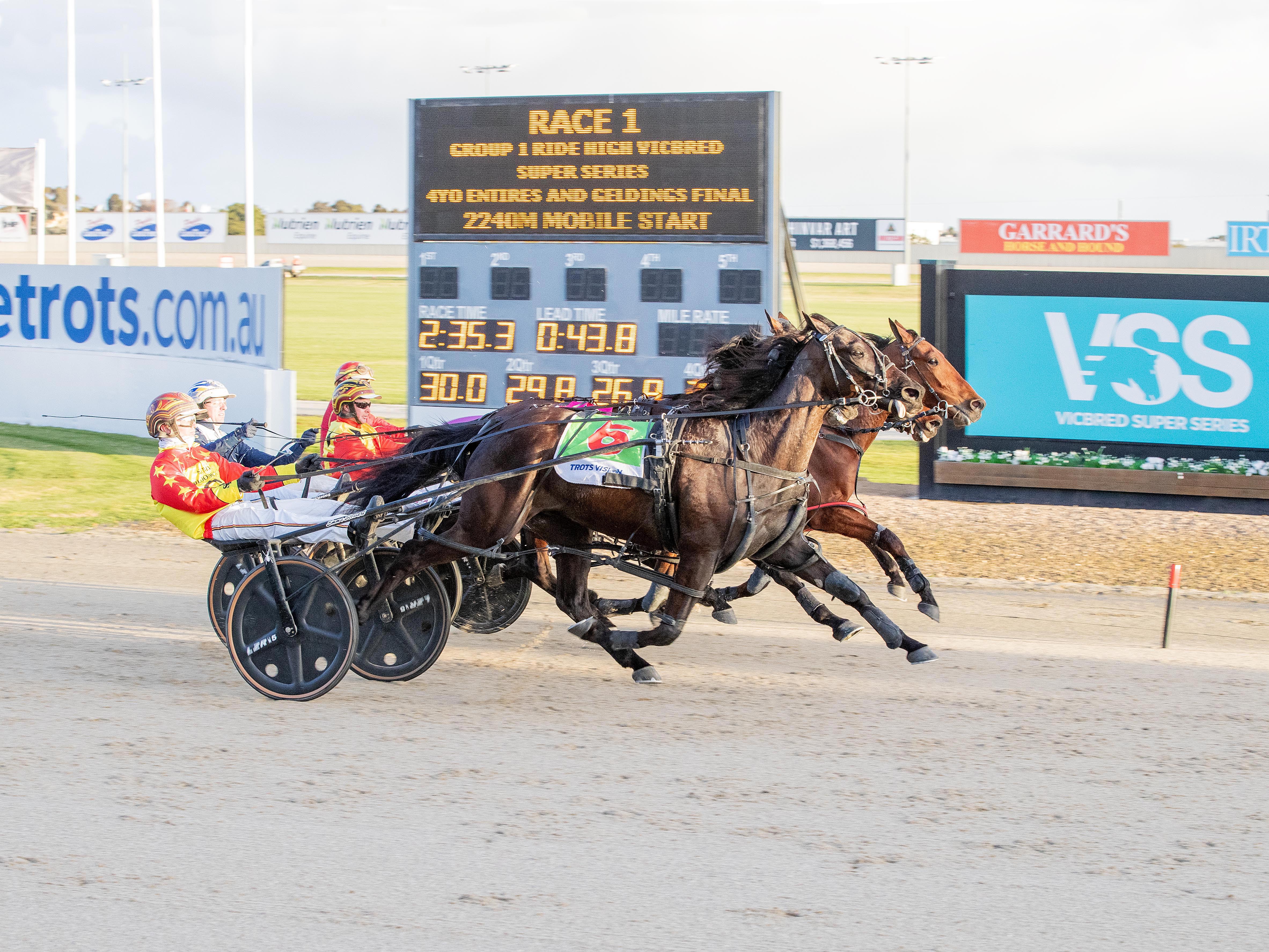 Heza Punk Rocker On Song In Group One | NZB Standardbred | Standardbred ...
