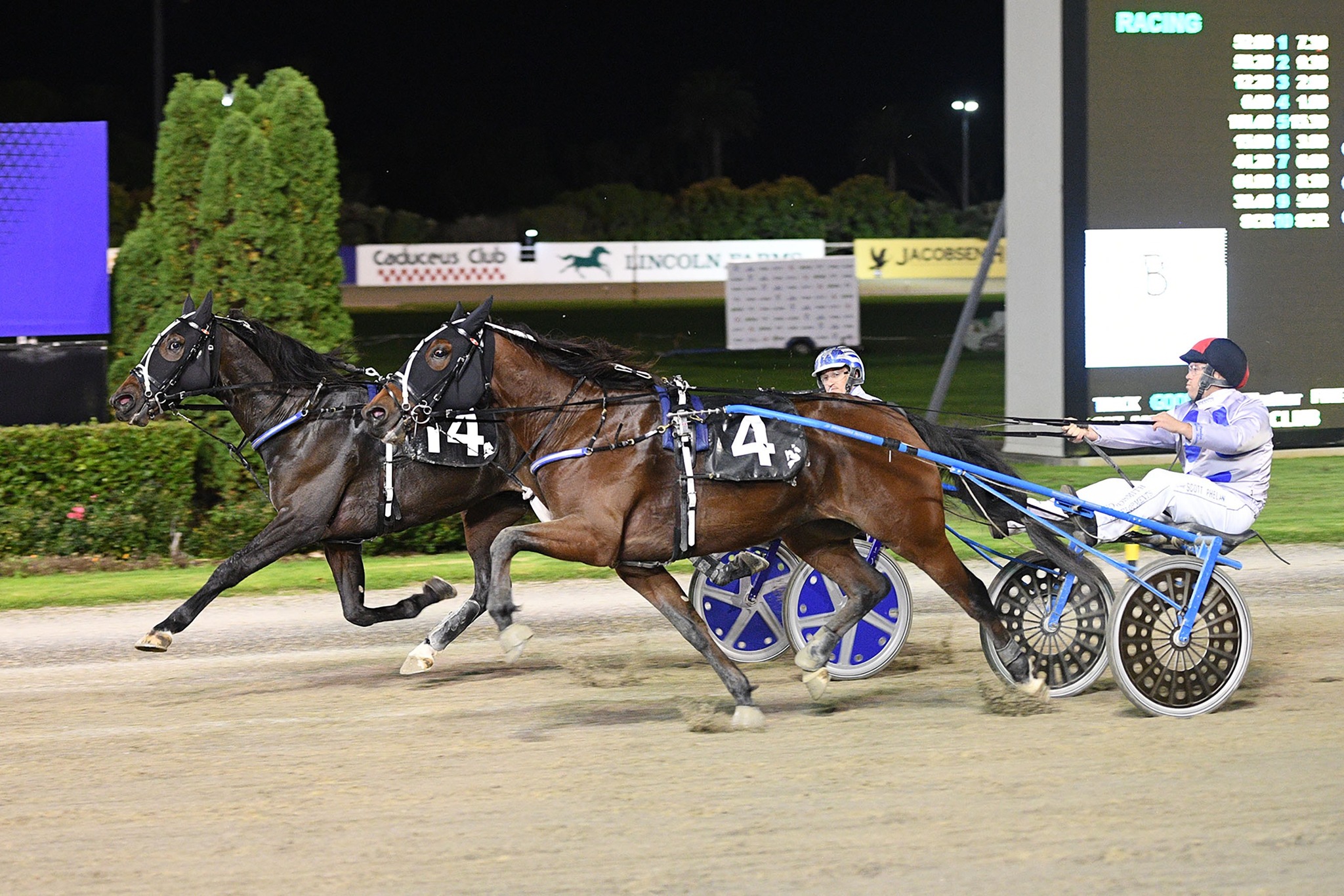 Group One Trotting Derby Victory Was Meant To Be | NZB Standardbred ...