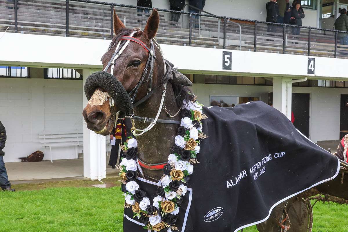 Rakero Rocket Laps Up Conditions in Methven Cup | NZB Standardbred ...
