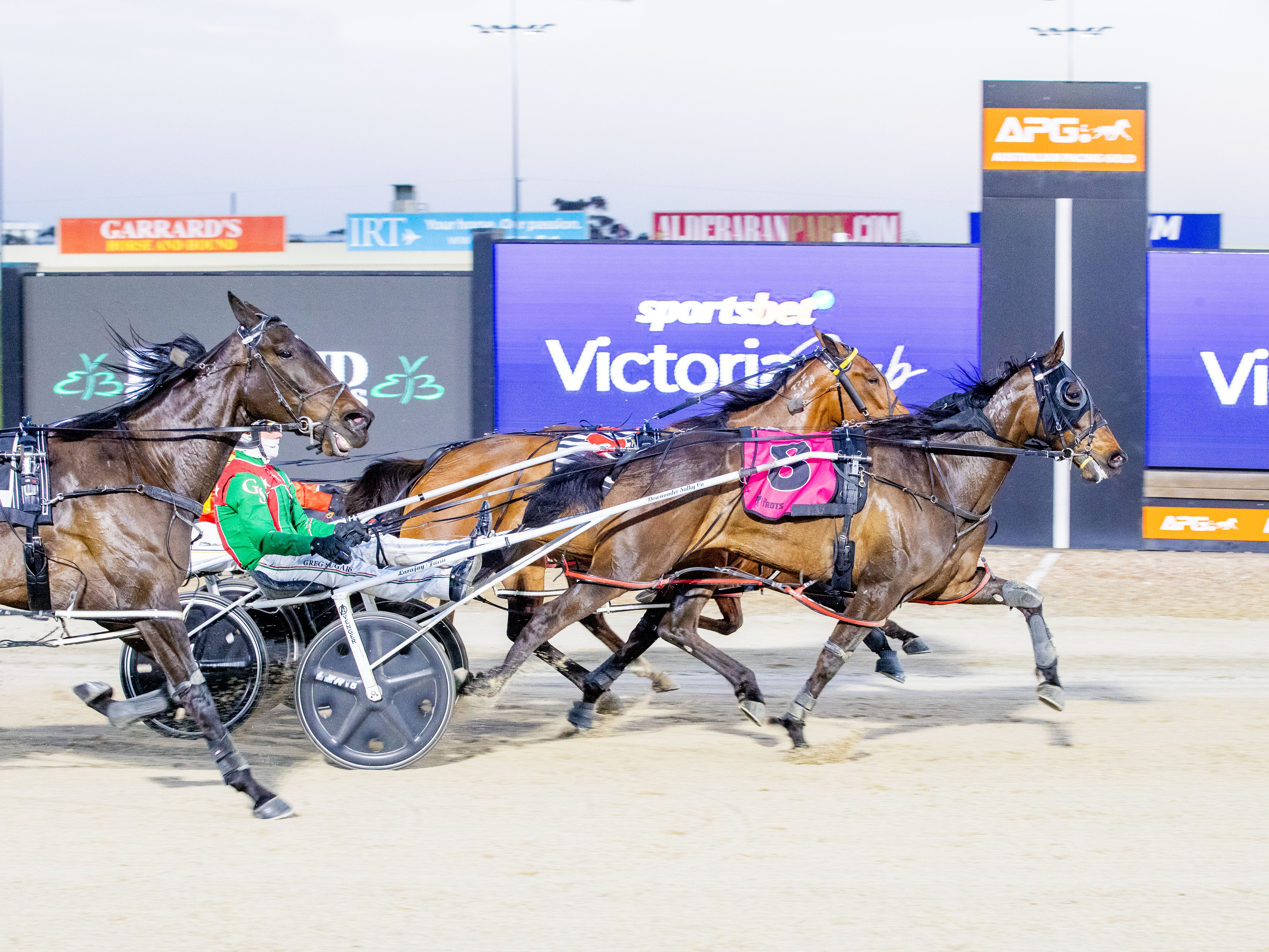 Rakero Rebel (NZ) Clinches Deserved Group One Title | NZB Standardbred ...